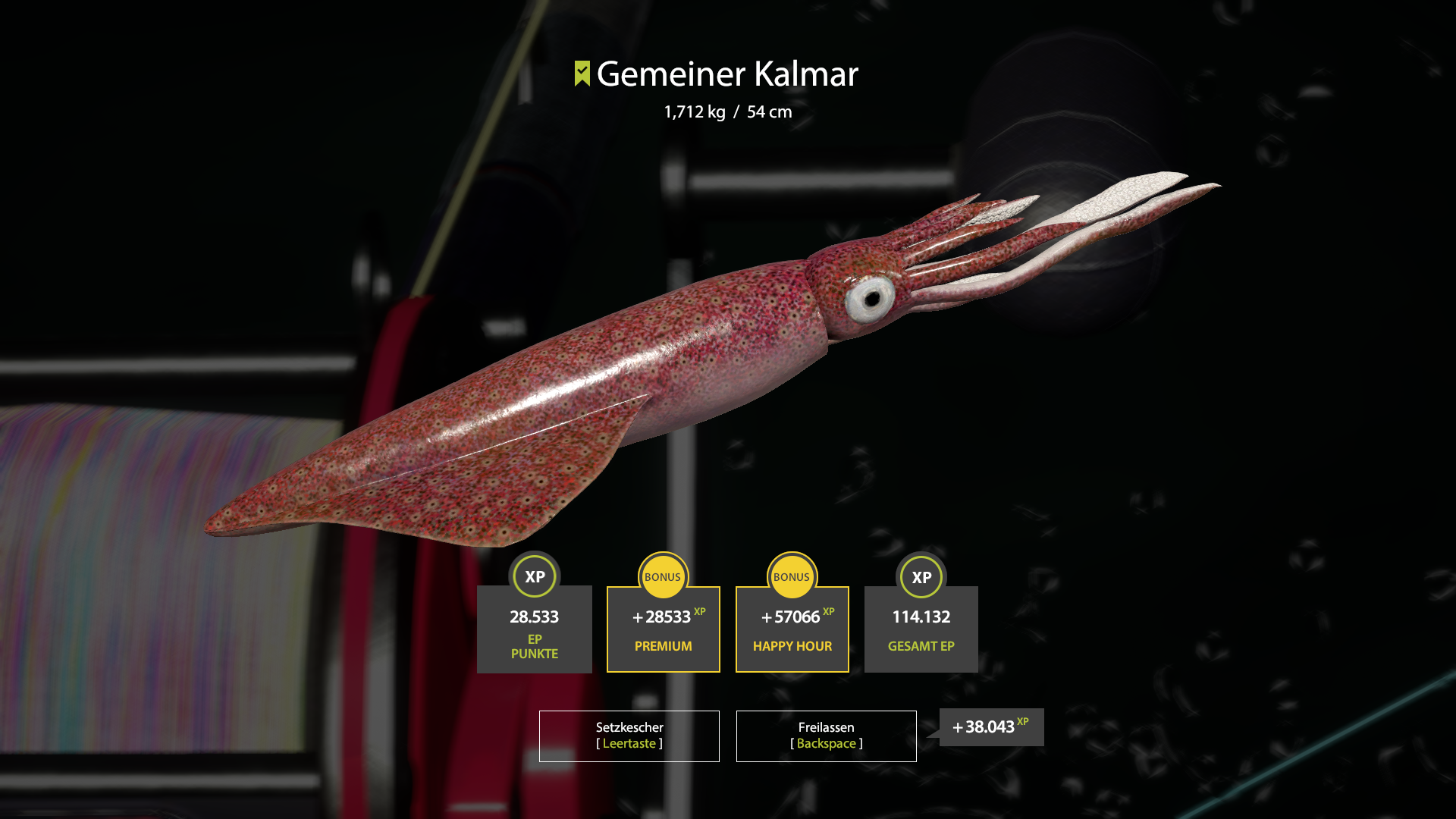 Fisch der Woche - Gemeiner Kalmar [16 Dezember - 23 Dezember] - Fisch ...
